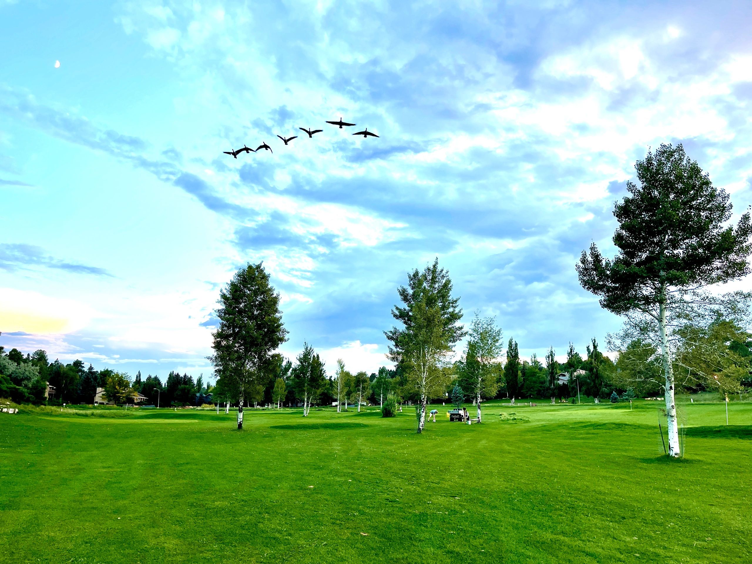 Timberline Short Nine Golf Course & Events - Golf, Weddings, Events