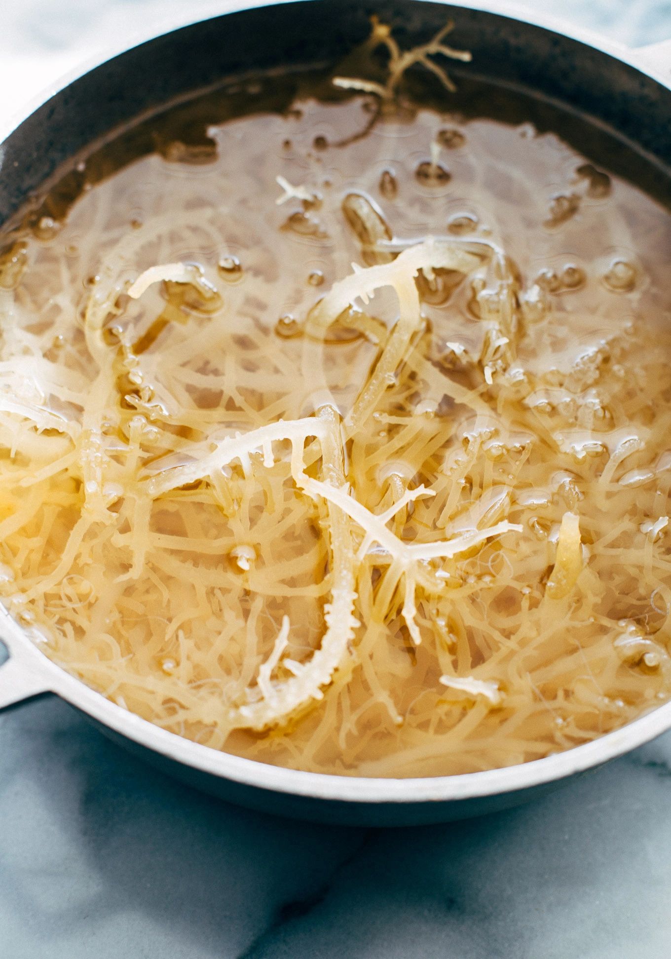 sea-moss-lovers-wildcrafted-sea-moss-houston-texas