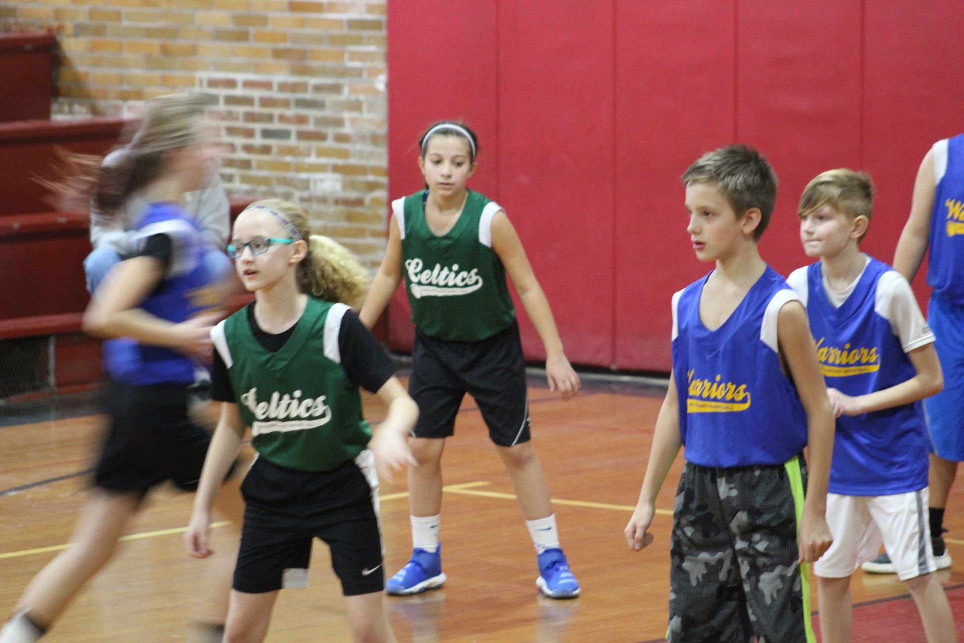 Peotone Biddy Basketball