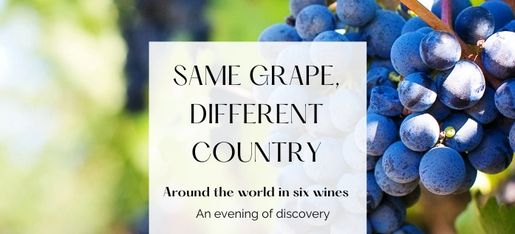 The Clissold Arms - Local Gastropub - East Finchley, England