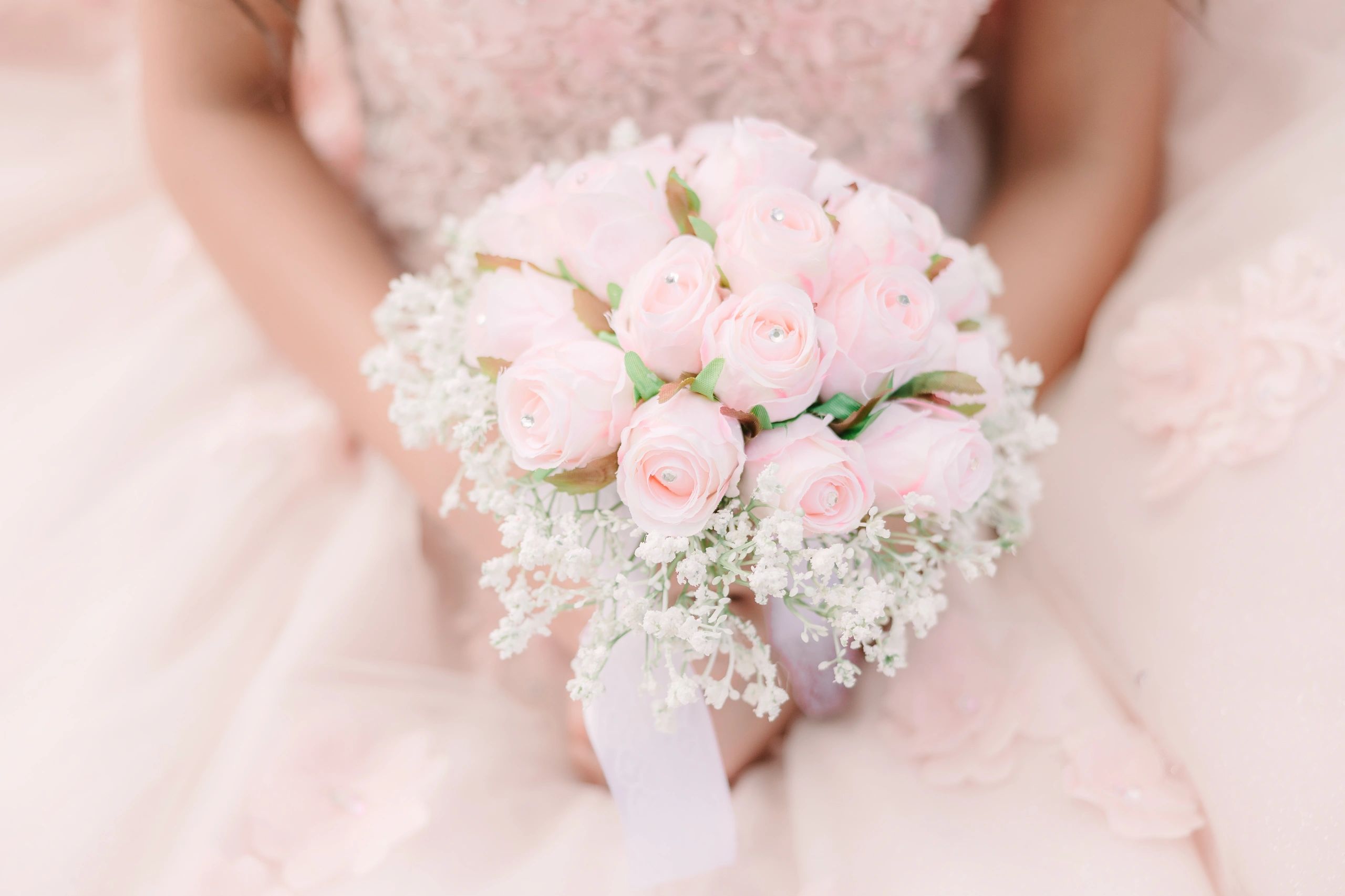 Expert Wedding and Family Photographer | Arid Photography