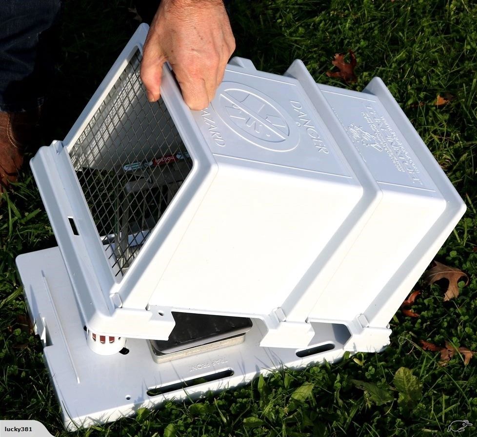 DOC BOXES AND TRAP TUNNELS