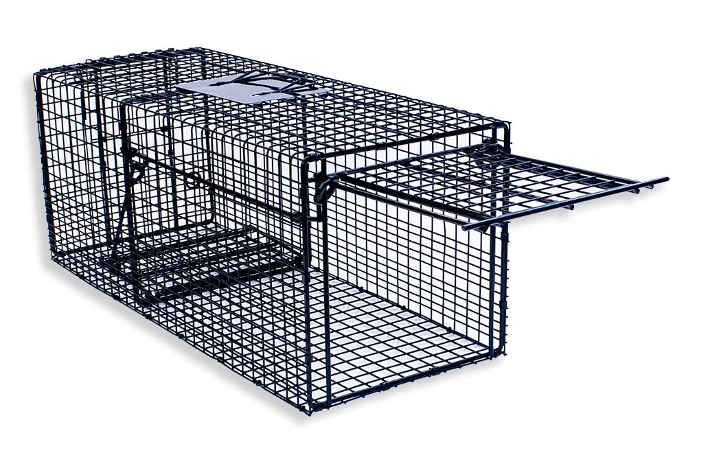 CAGE TRAPS. LIVE
