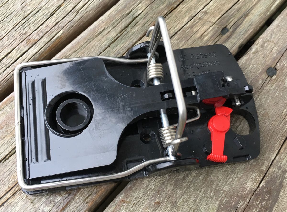 D-Rat MINI - STAINLESS STEEL, Multi-Rodent Trap, adjustable rat/mouse