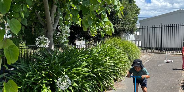 Early Years Rotokauri