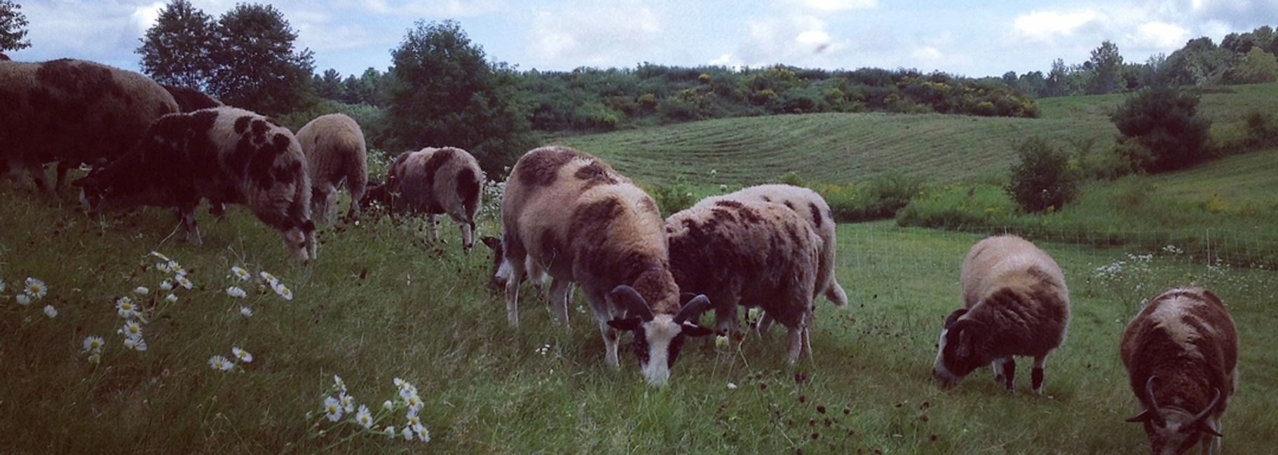 Contact Us | JacobFleece