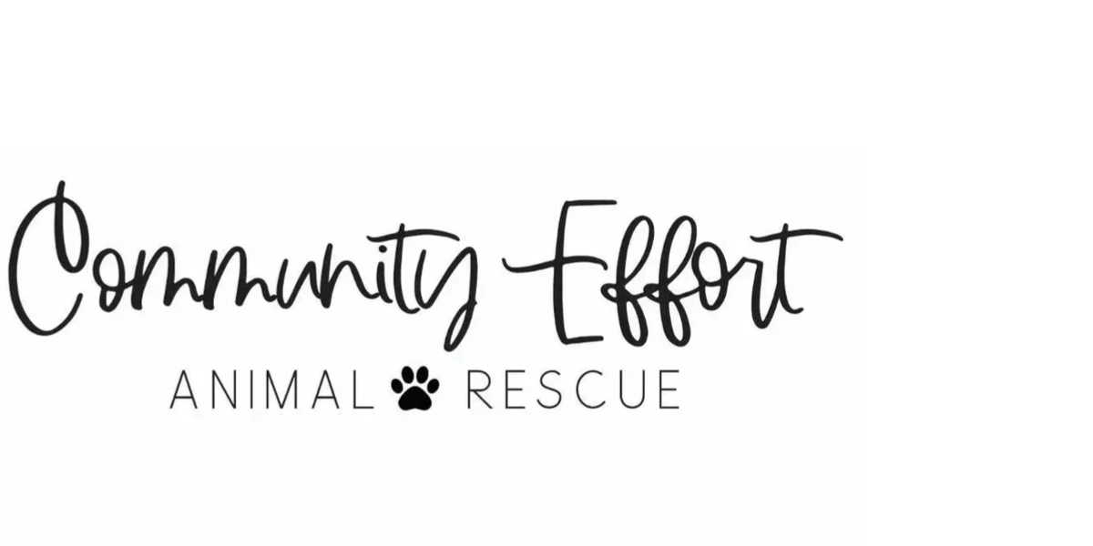 Community Effort Animal Rescue - Adopt a Pet - Littlerock, California