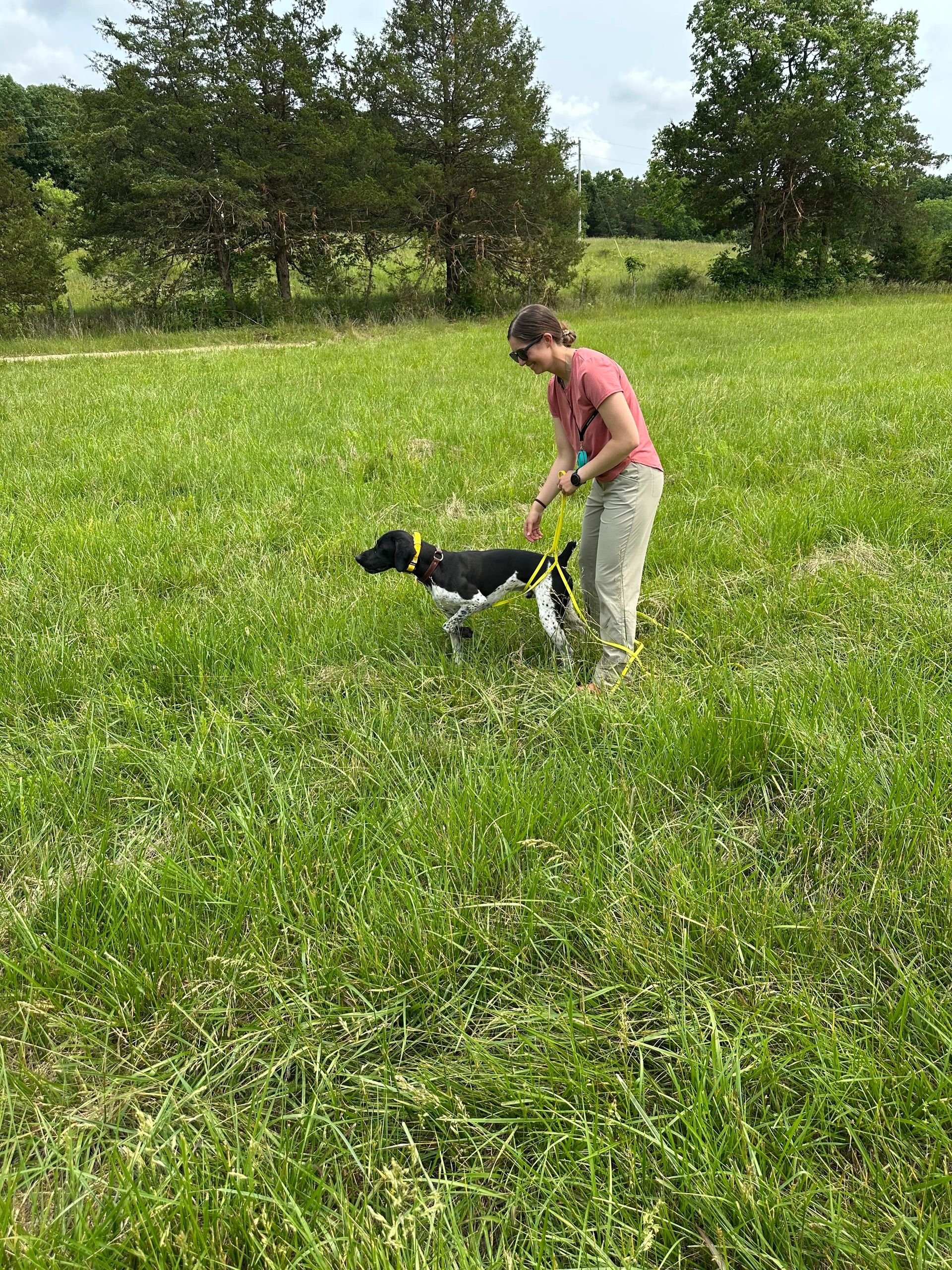 Versatile Dog Training and Testing - Mosouthnavhda.org