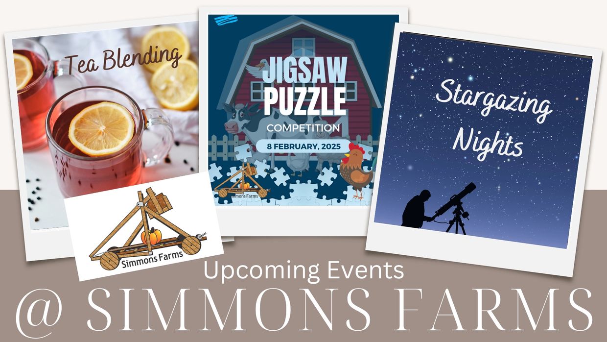 Experience Simmons Farms: Your Bethel Pumpkin Patch & Fall Festival ...