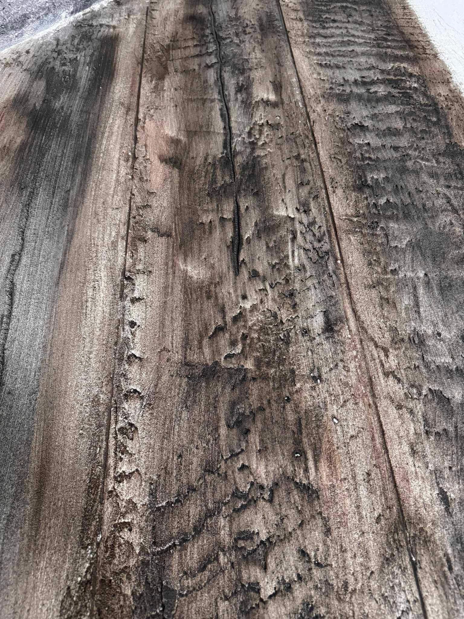 Cretekote: Premier Epoxy Flooring Solutions for Residential ...