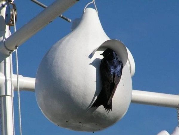 Greater Patchogue Historical Society - Historical Society, Museum