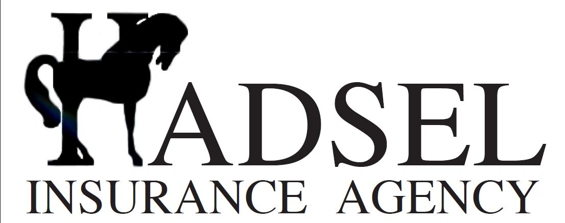 Savings, Great Customer Service - Hadsel Insurance Agency