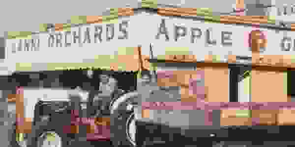 LANNI ORCHARDS INC - Local, Farm, Orchard