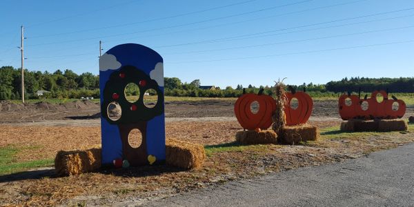LANNI ORCHARDS INC - Local, Farm, Orchard