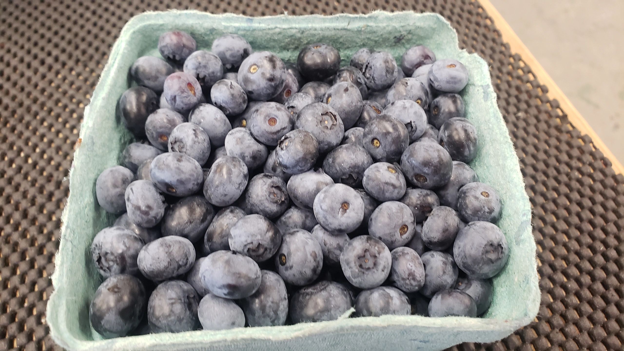 LANNI ORCHARDS INC - Local, Farm, Orchard