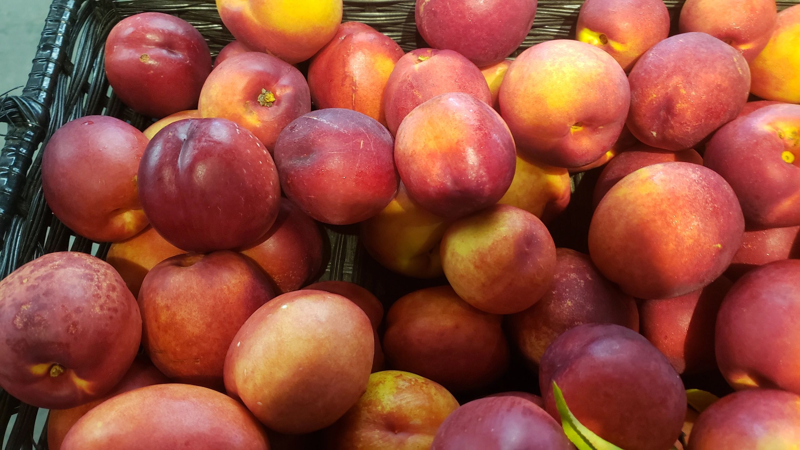 C.S.A. Community Supported Agriculture - LANNI ORCHARDS INC