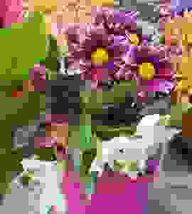 LANNI ORCHARDS INC - Local, Farm, Orchard