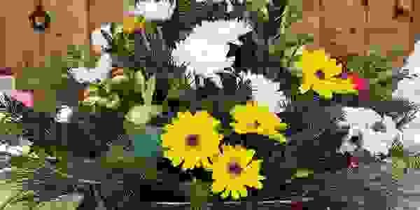 LANNI ORCHARDS INC - Local, Farm, Orchard