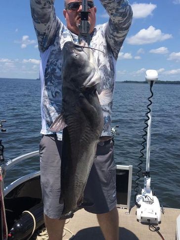 Chase'N Outdoors - Blue Catfish, Catfish Rods, Flathead Catfish Fishing