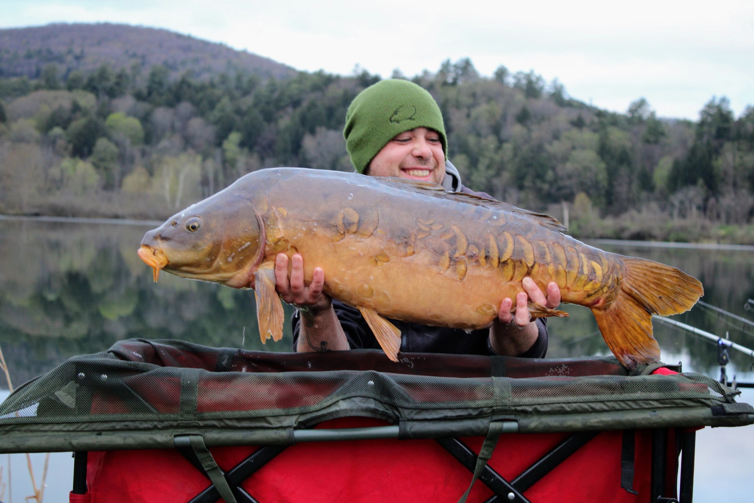 Carp Daddy Baits