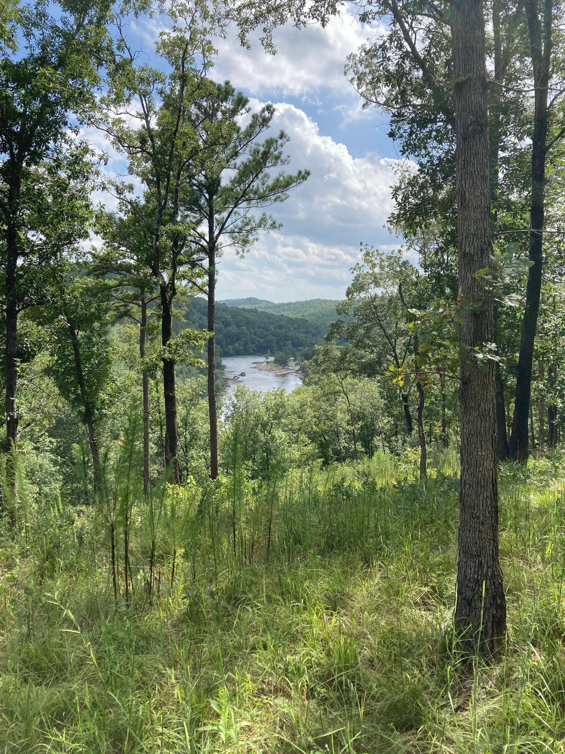 Sprewell Bluff Park Hike