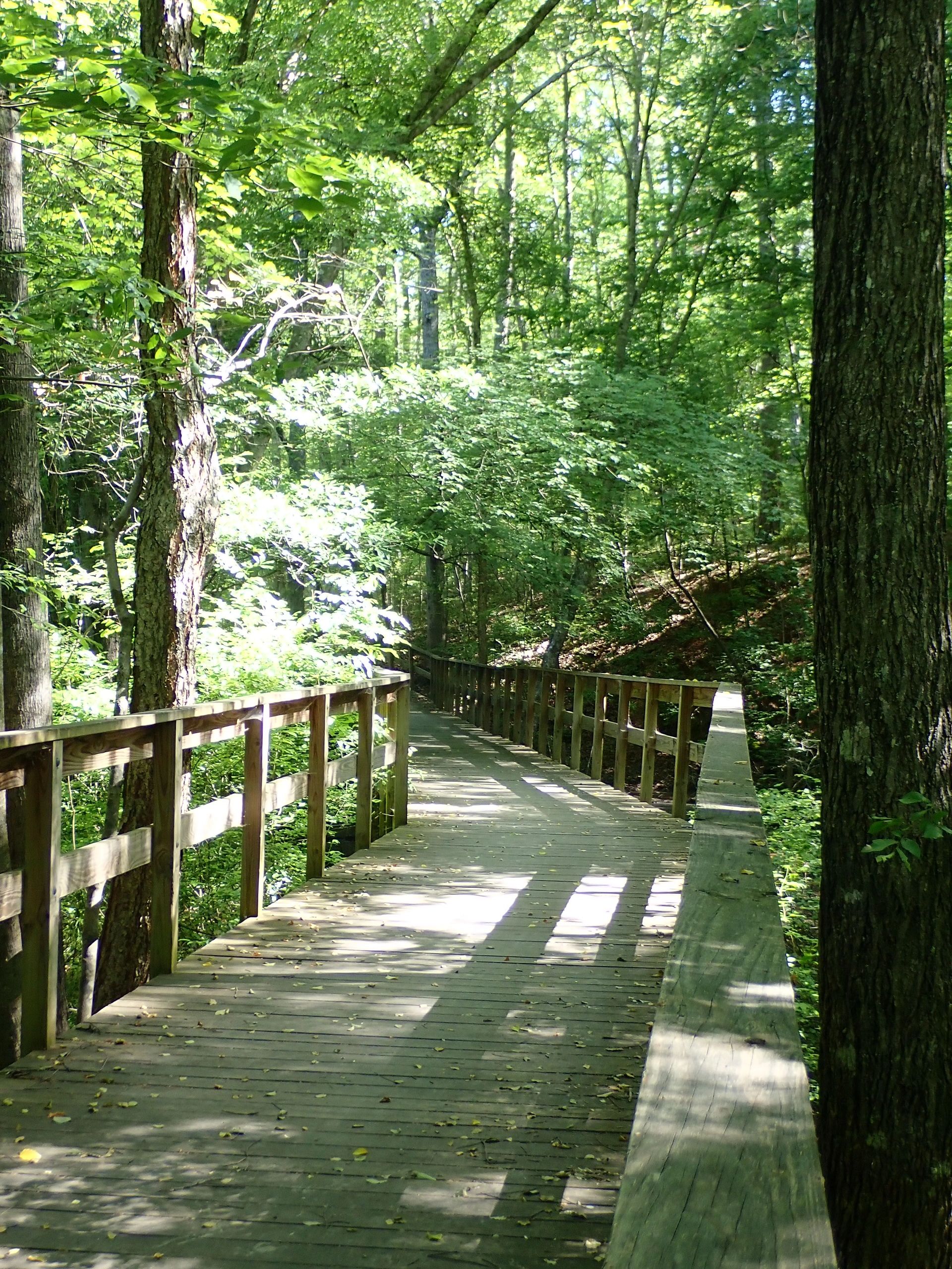 Indian Springs to Dauset Trails Multi- Use Trail