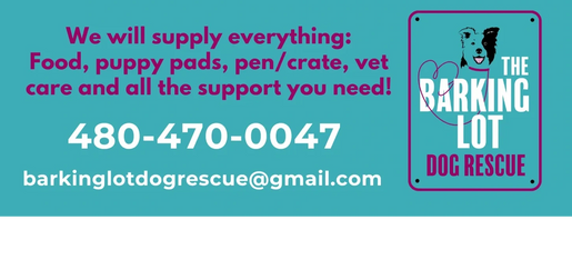 Find Puppies for Adoption at The Barking Lot Dog Rescue