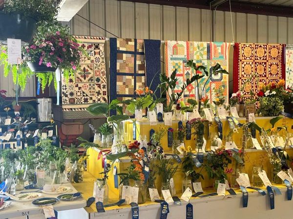 Butler County Fair - Allison, IA - Home