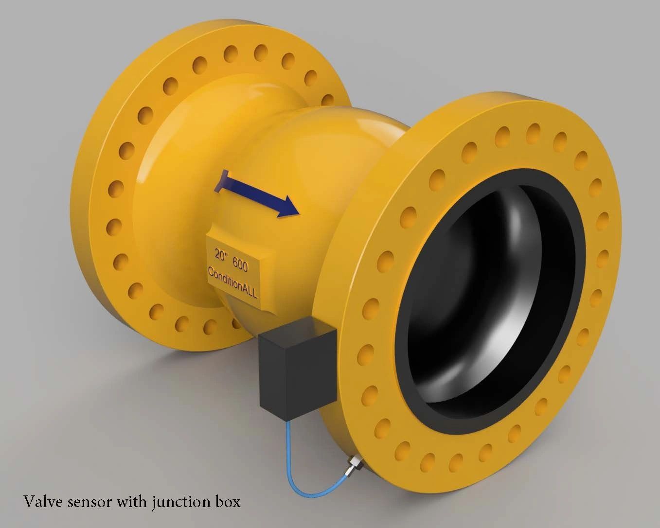 New Concept Check Valve Monitoring