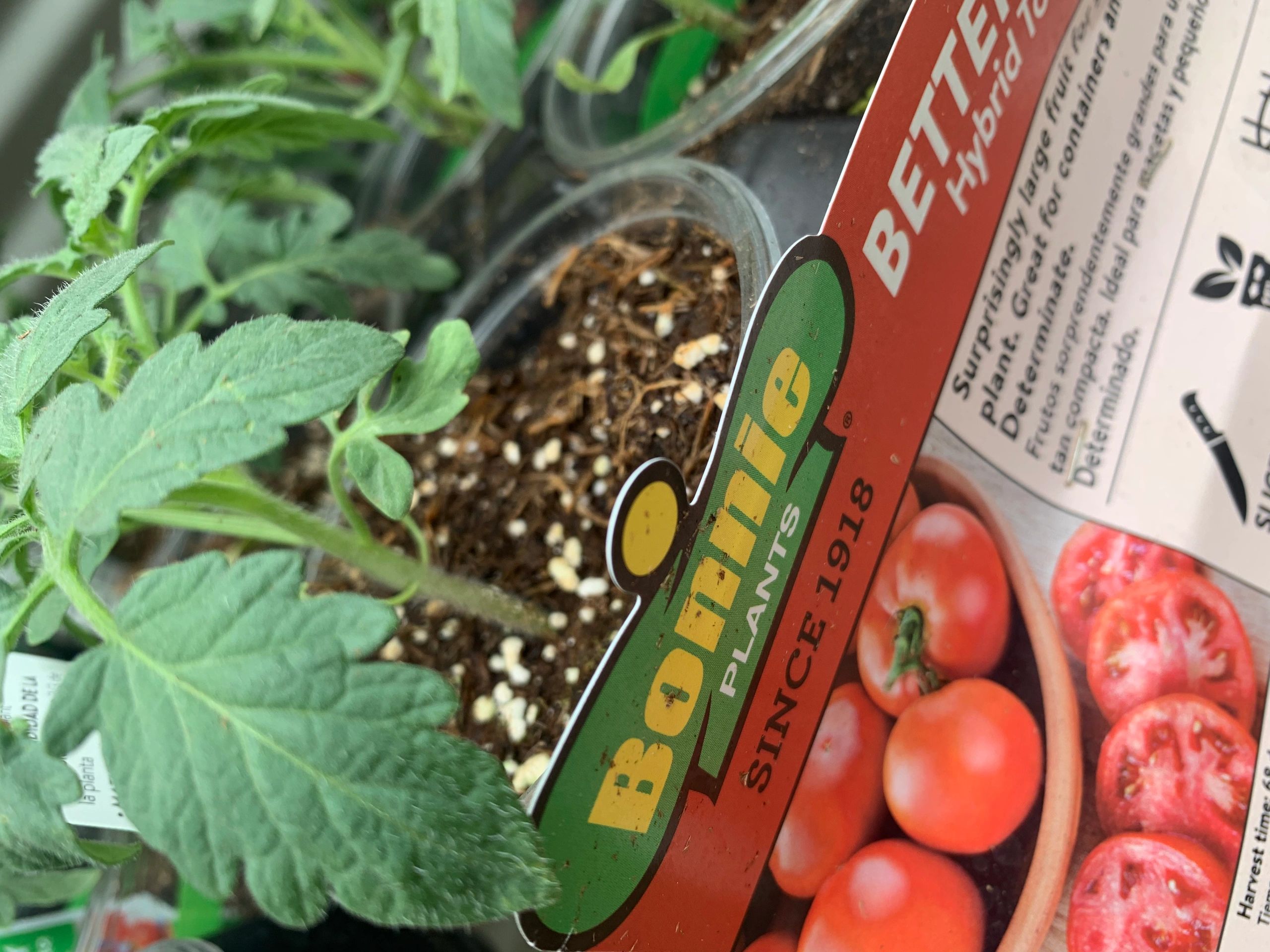 Pet Foods & Backyard Chicken Supplies in Garland - Roach Feed
