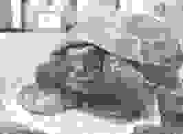 Elbridge Free Library | Elbridge Free Library