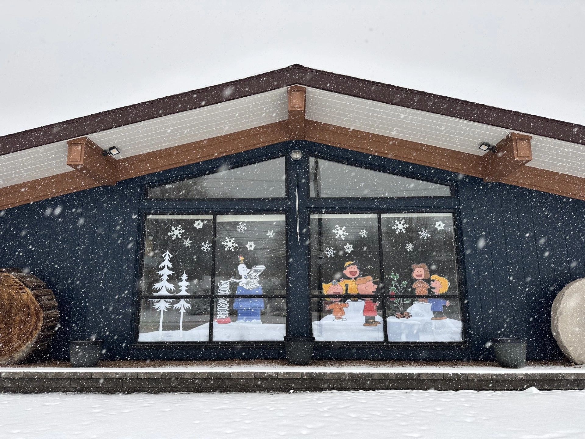 Elbridge Free Library