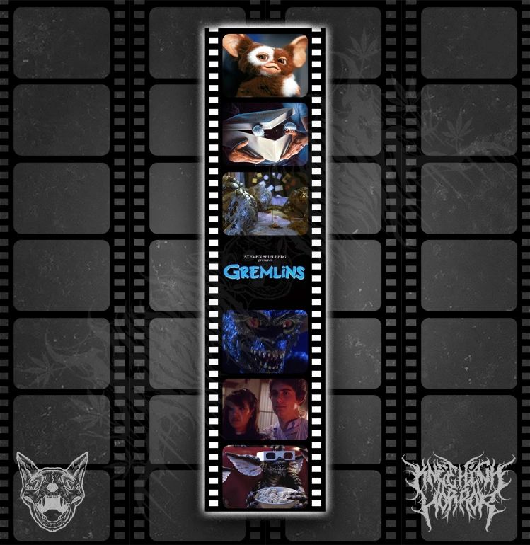 Furry Buddies Film Strip
