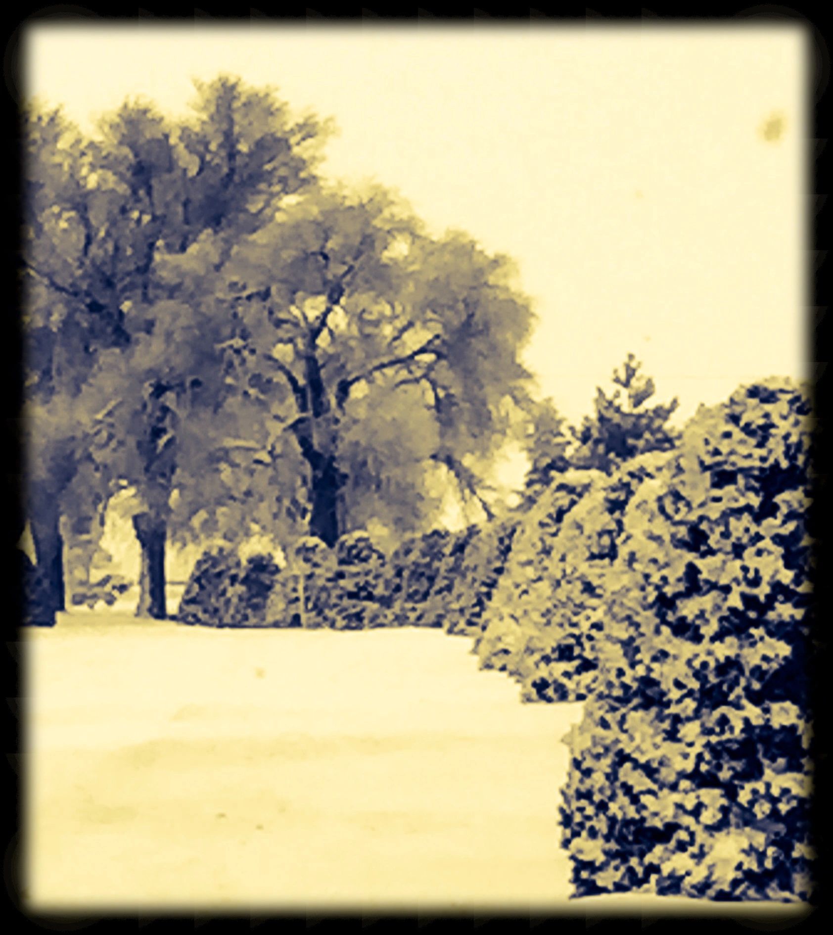 Twisted Elms Golf Club - Sports Bar & Grill, Golf