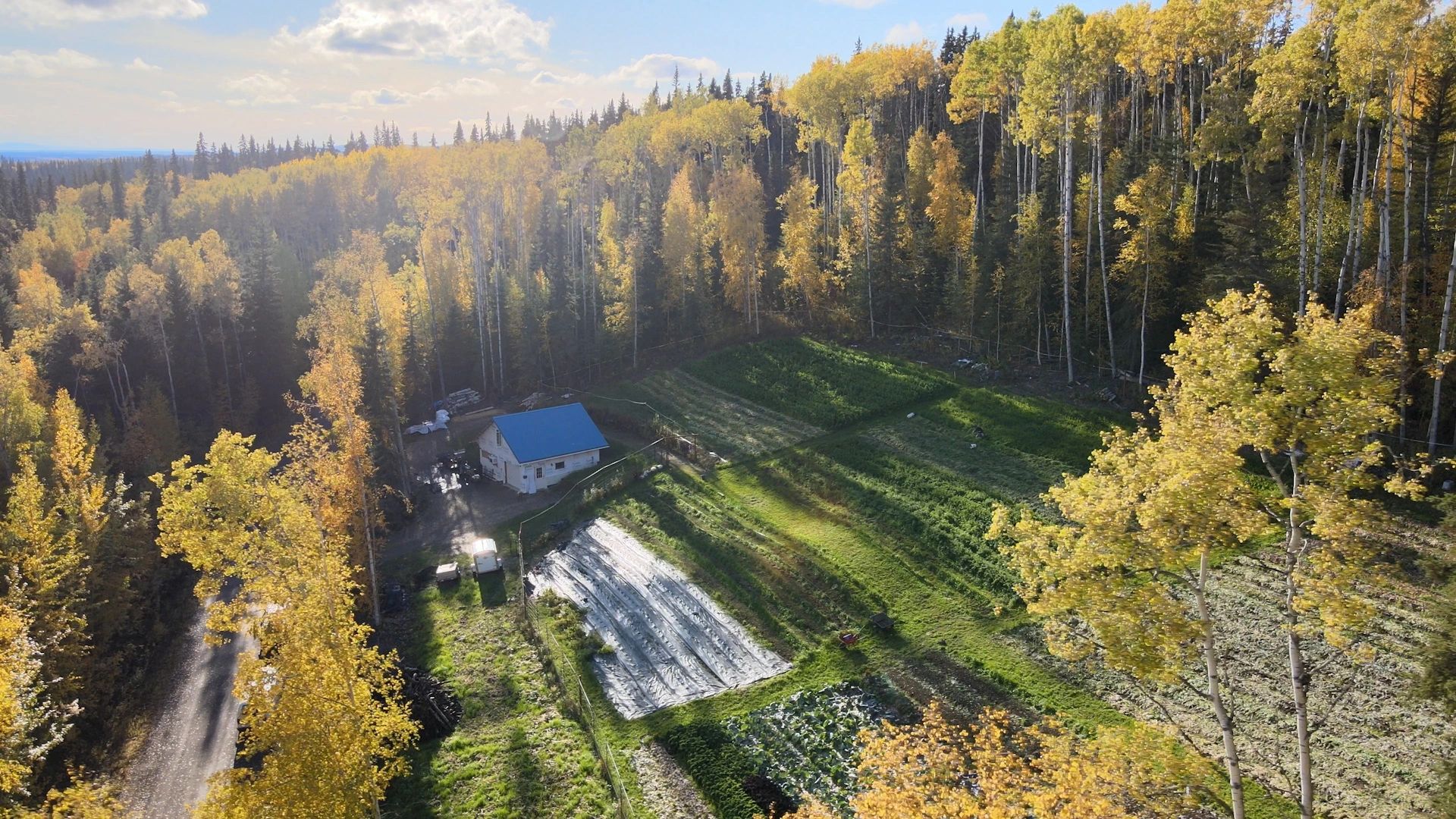Local Winter Vegetables | Offbeet Farm