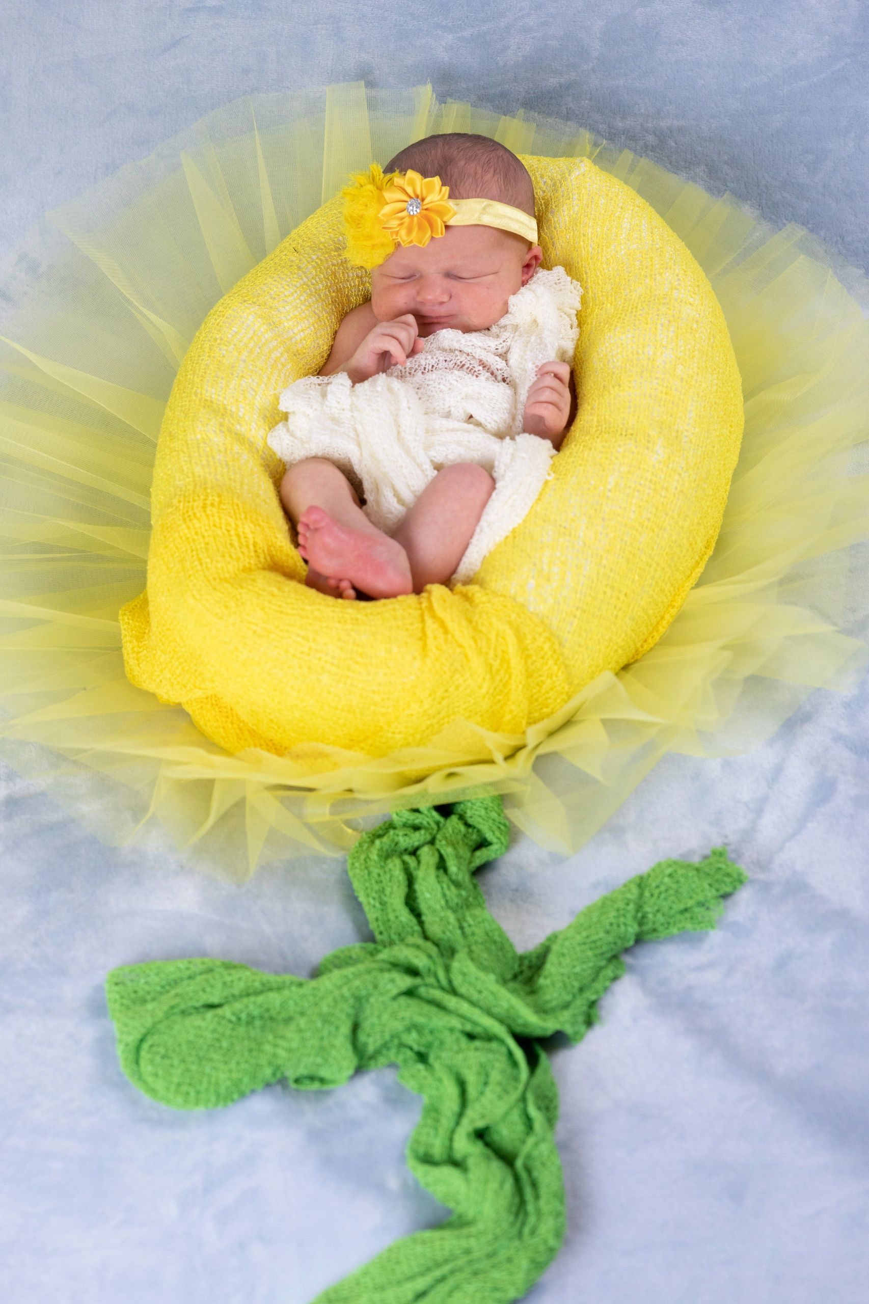 Find Us | CMG Photography LLC