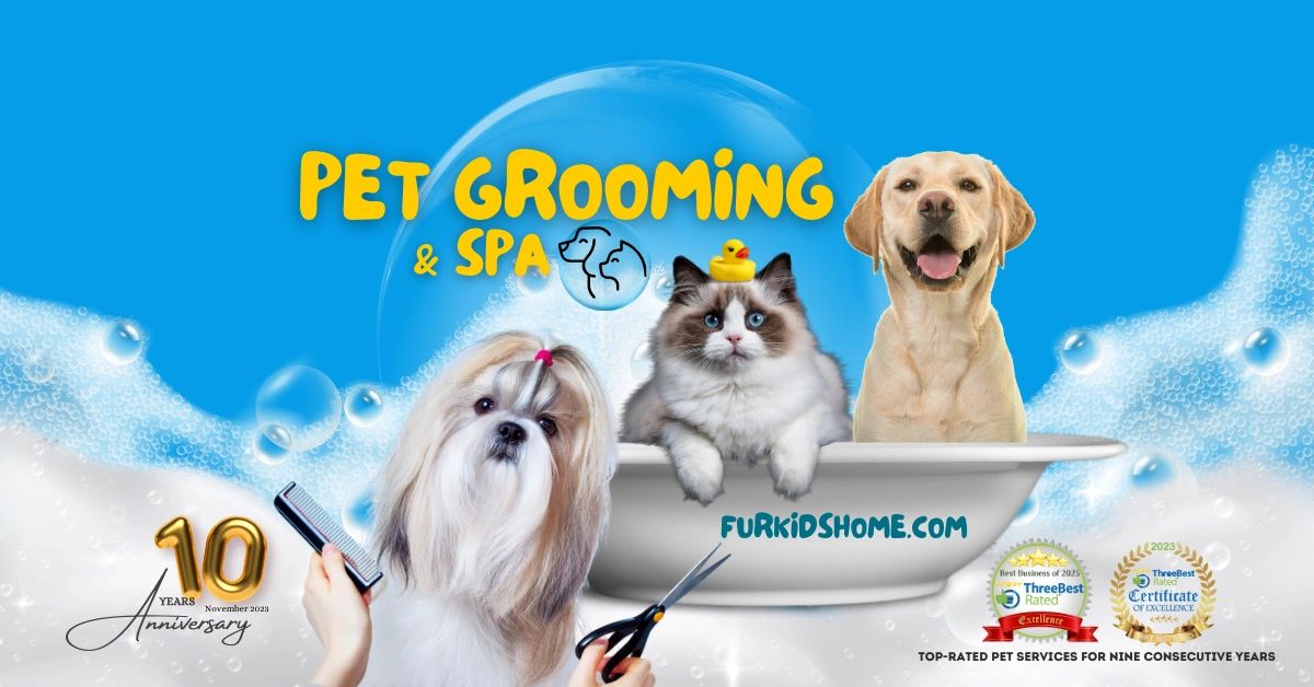 Service Rates | Furkids Home | Pet Grooming & Spa Singapore
