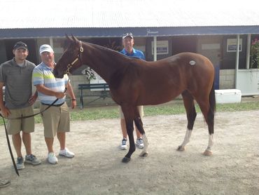 Gallery | Albaugh Family Stables