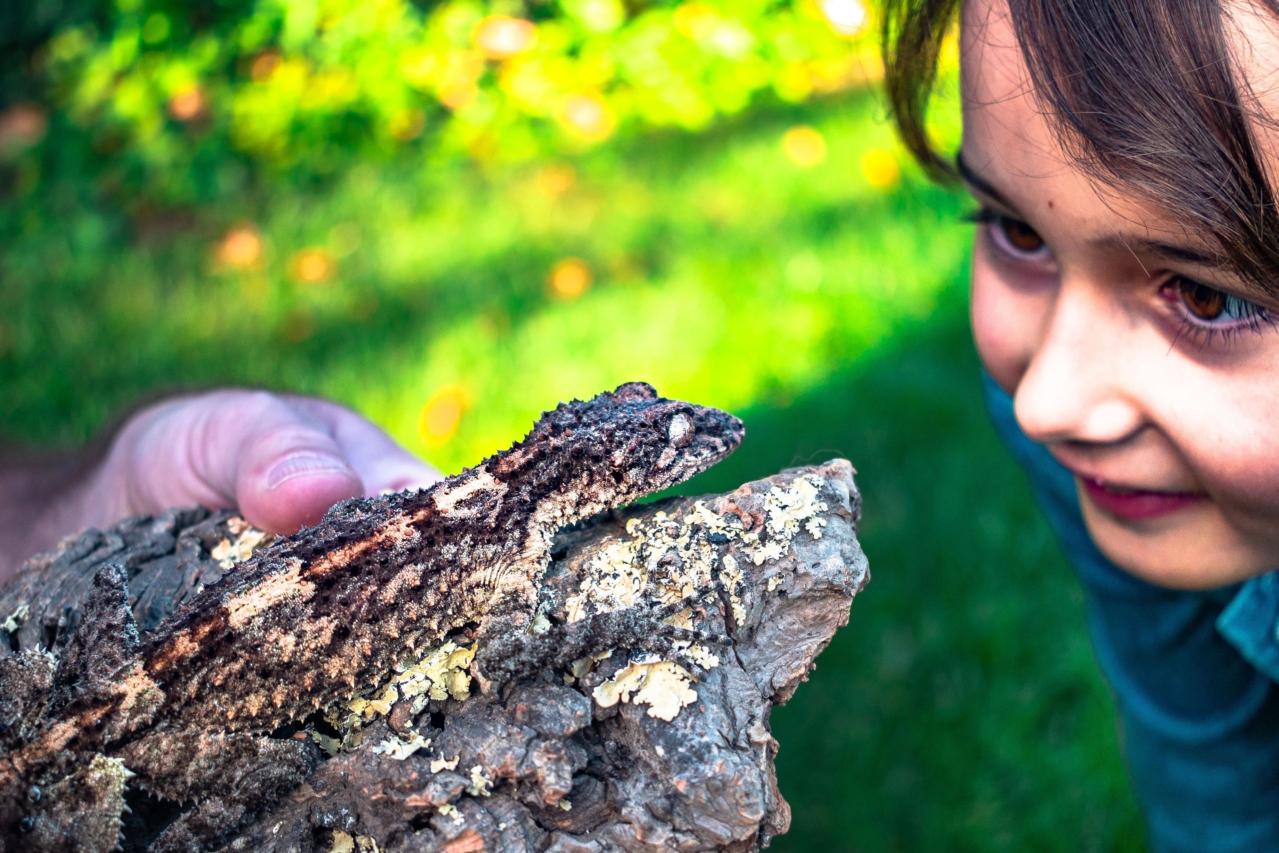 About Us | Wildlife Reimagined