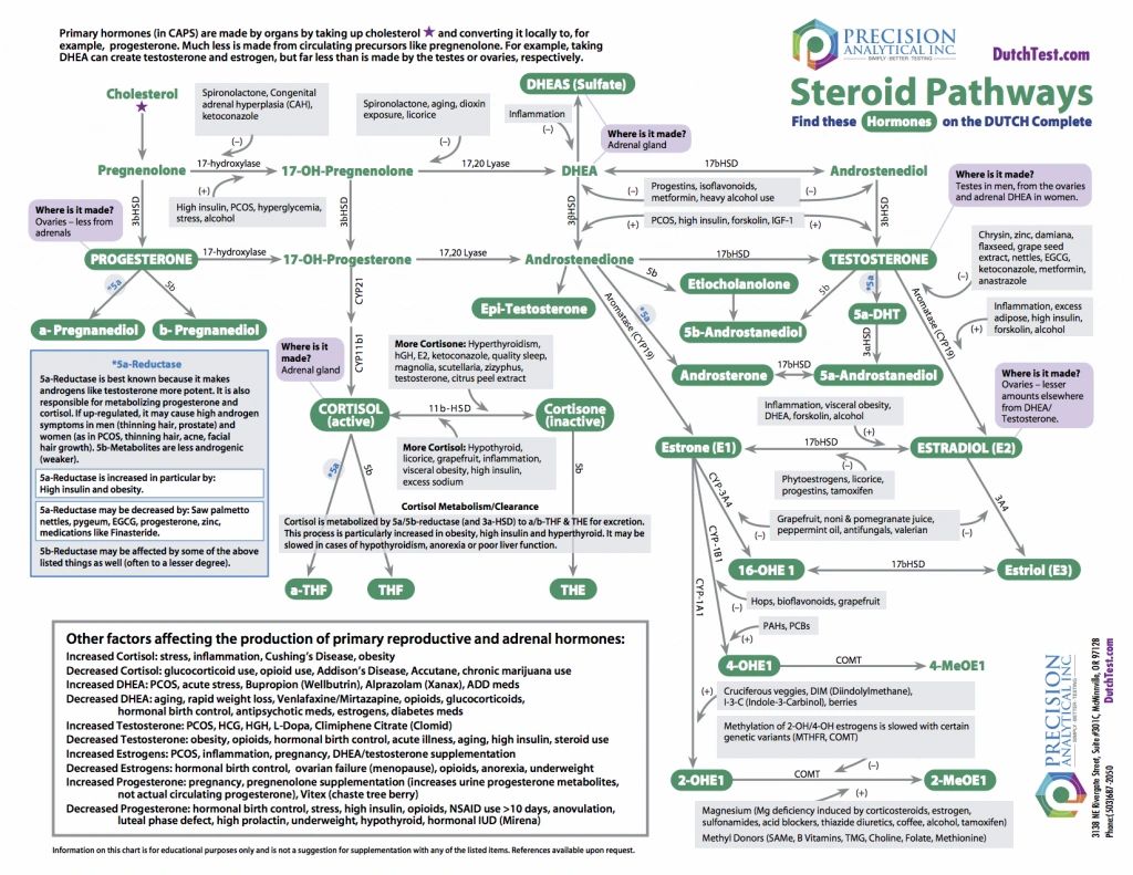 The Livers Role in Balancing Hormones