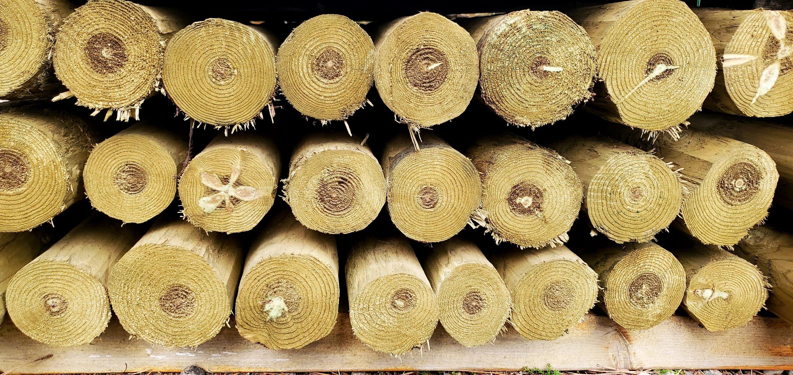 Pressure Treated Round Fence Posts - Eau Claire, Wisconsin