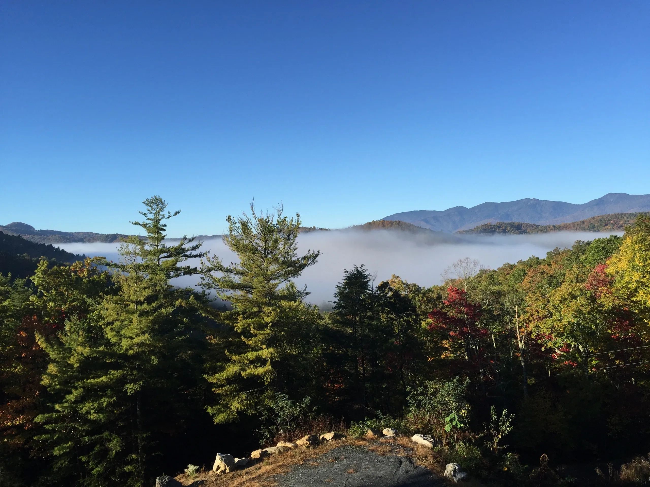 Home [alpinemountainhouse.com]