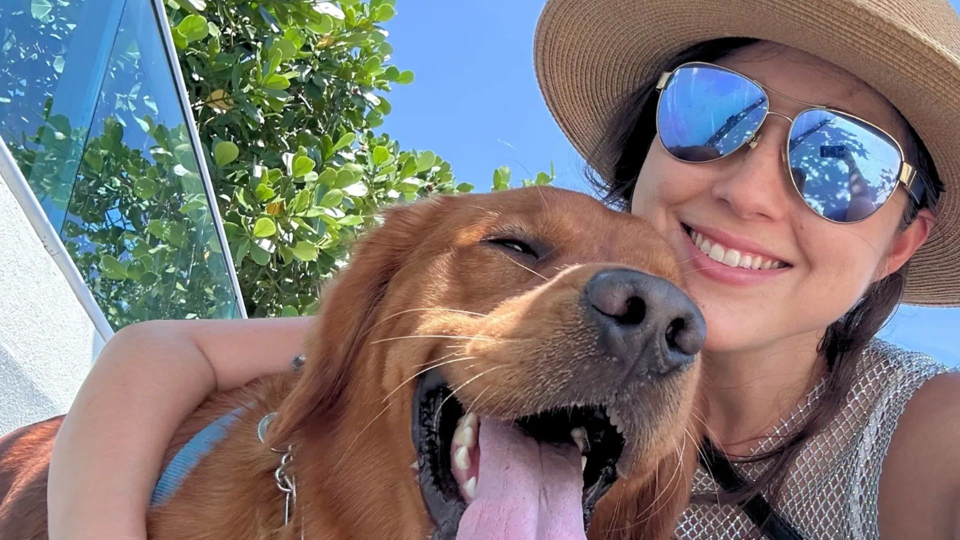 MIA Dog Walker