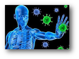 The Stealth Virus Behind Your Hashimoto's and How To Stop It