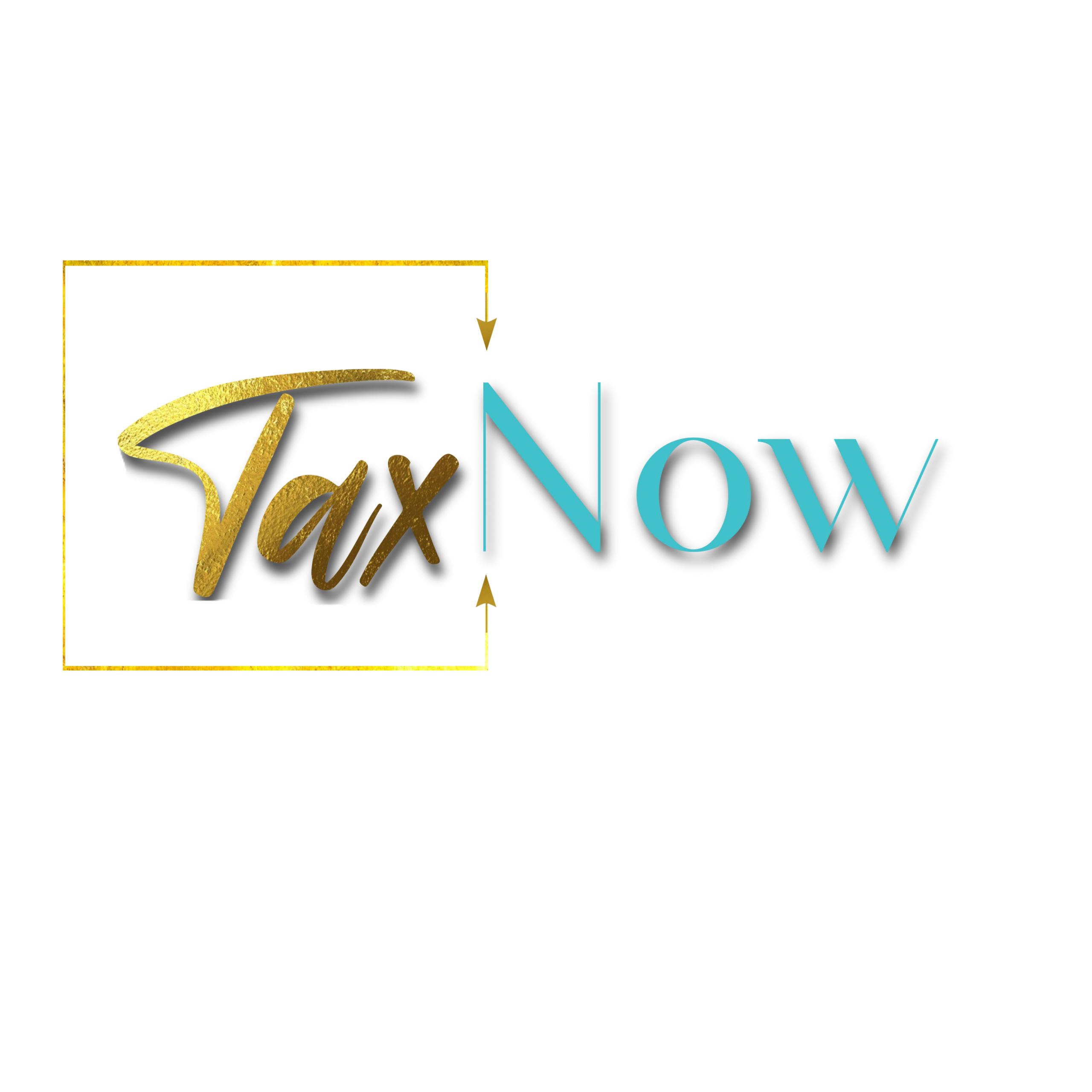 Tax Now Website