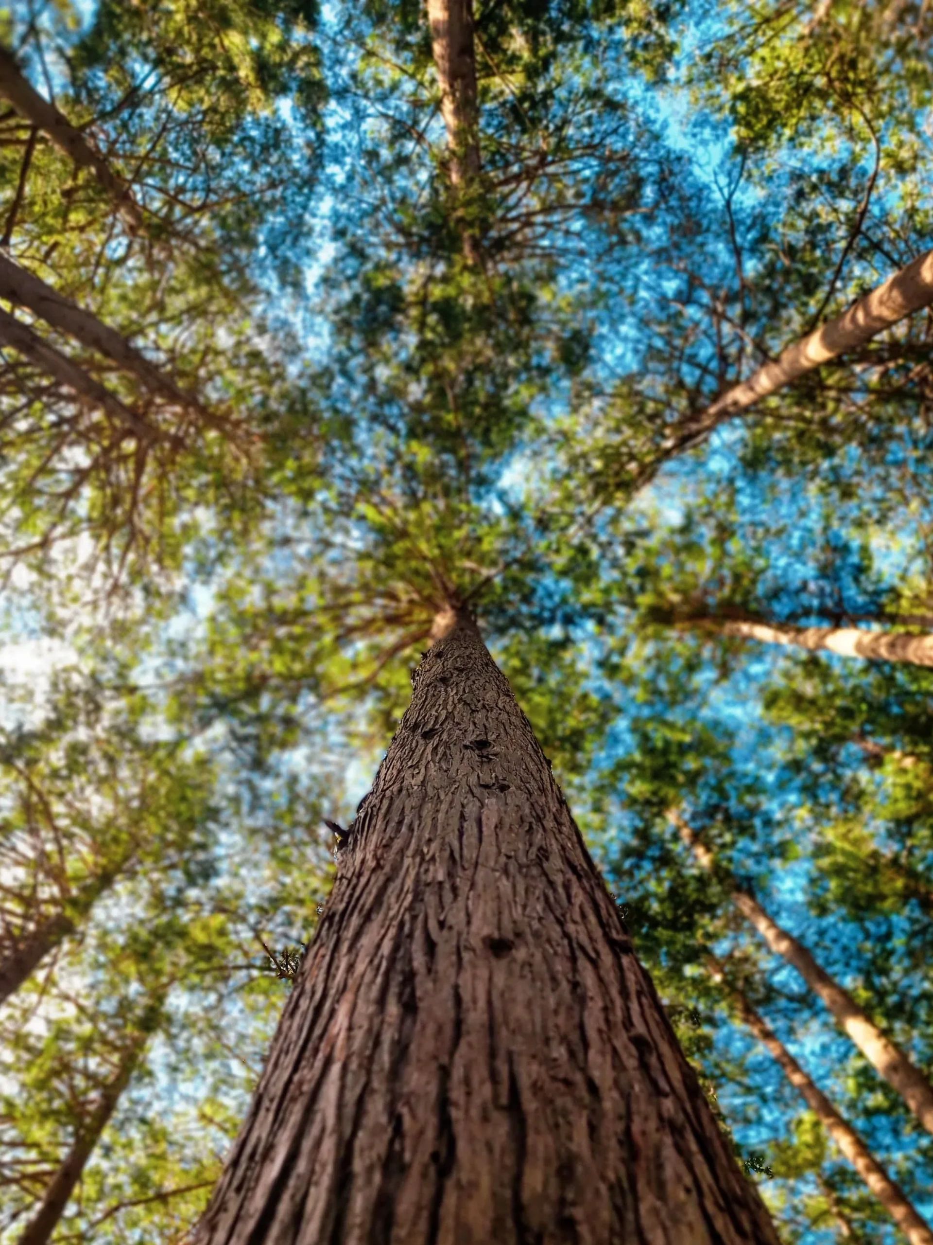 Building Resilience Through Transitions