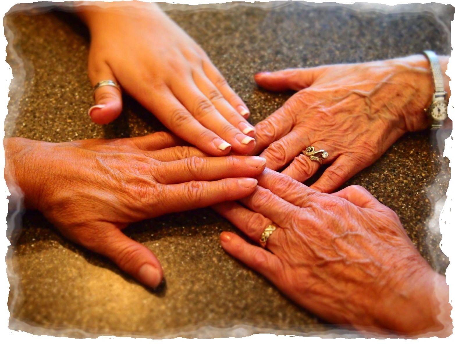 LiveSimply Senior Transitions