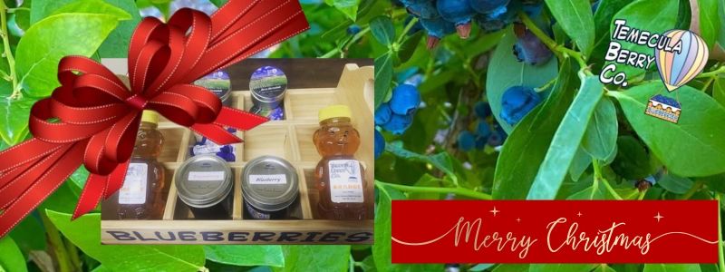 Temecula Berry Farm: Fresh Blueberries Await You