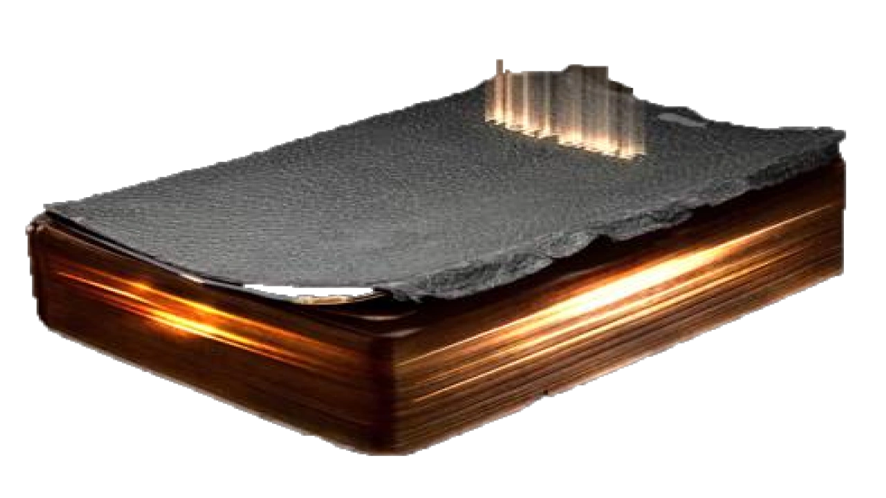 The NIV