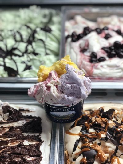 Gelato, Cater - Paciugo Gelato & Caffe - Saint Petersburg, Florida
